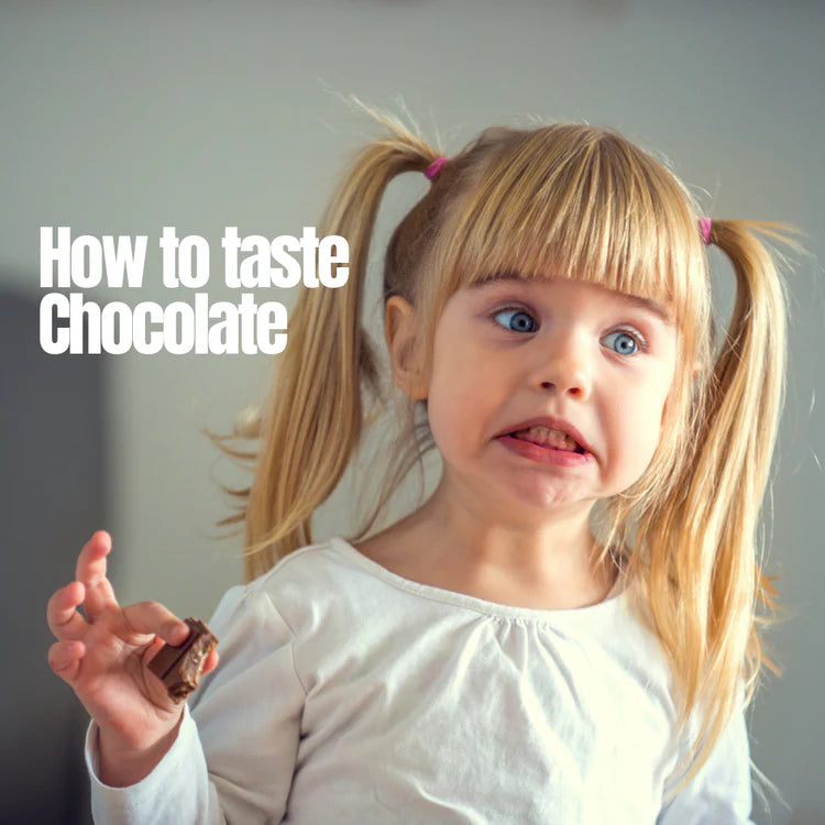How to Taste Chocolate – Zazubean Organic Chocolates